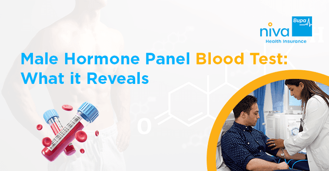 Male Hormone Panel Blood Test: What it Reveals