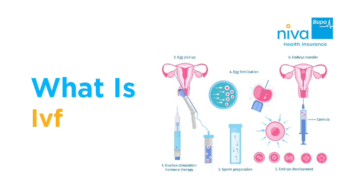 What is IVF? An In-Depth Look at In Vitro Fertilisation