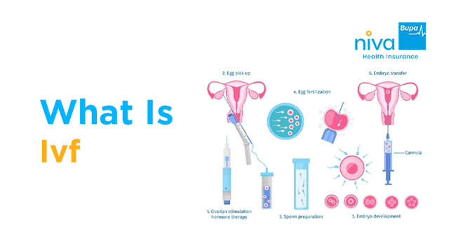 What is IVF? An In-Depth Look at In Vitro Fertilisation