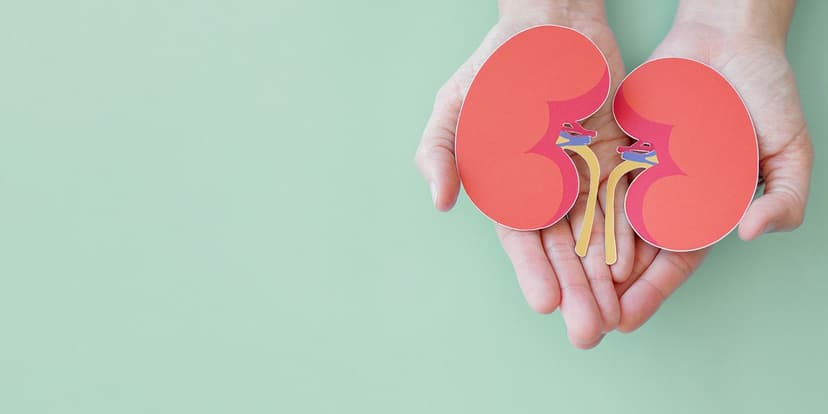 Choosing the Right Kidney Stone Insurance Policy